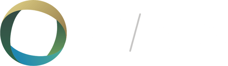 Descubre más sobre nuestro Gobierno Corporativo. CFECapital.